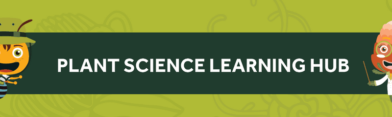 New interactive teaching resource launched – the Plant Science Learning ...