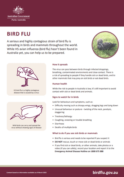 Bird flu | Parks Australia | Parks Australia