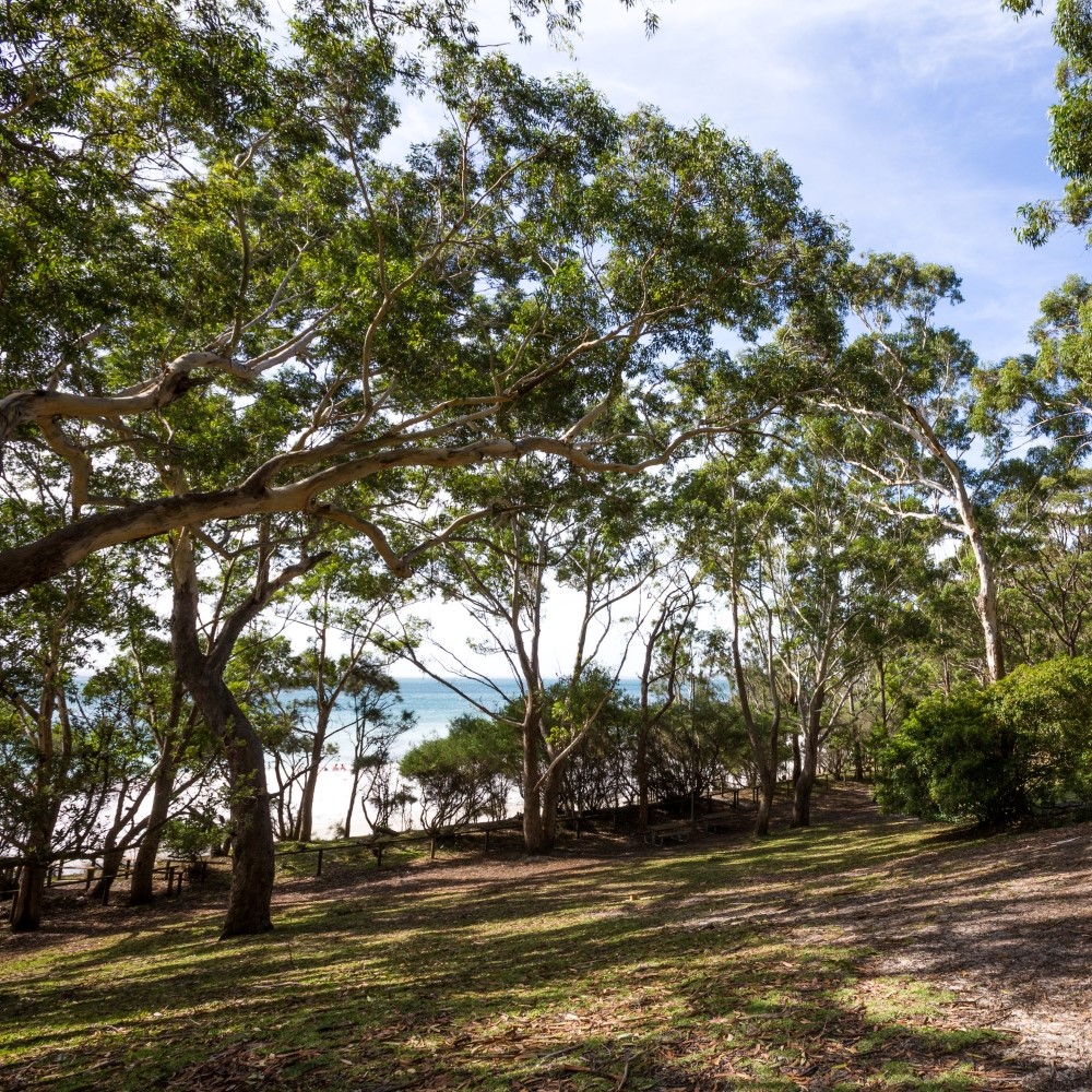 Upgrades coming to Booderee National Park | Parks Australia | Parks ...