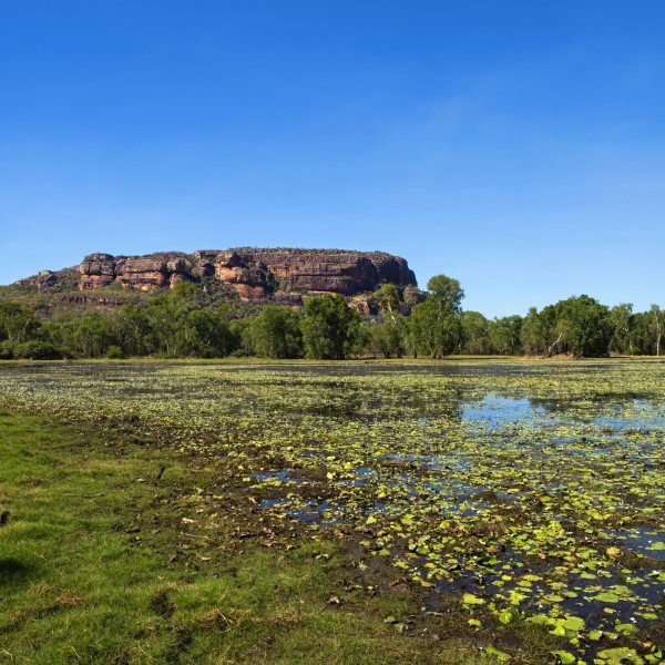 Bowali Visitor Centre re-opens | Parks Australia | Parks Australia