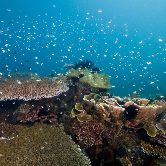 Marine Parks | Parks Australia | Parks Australia