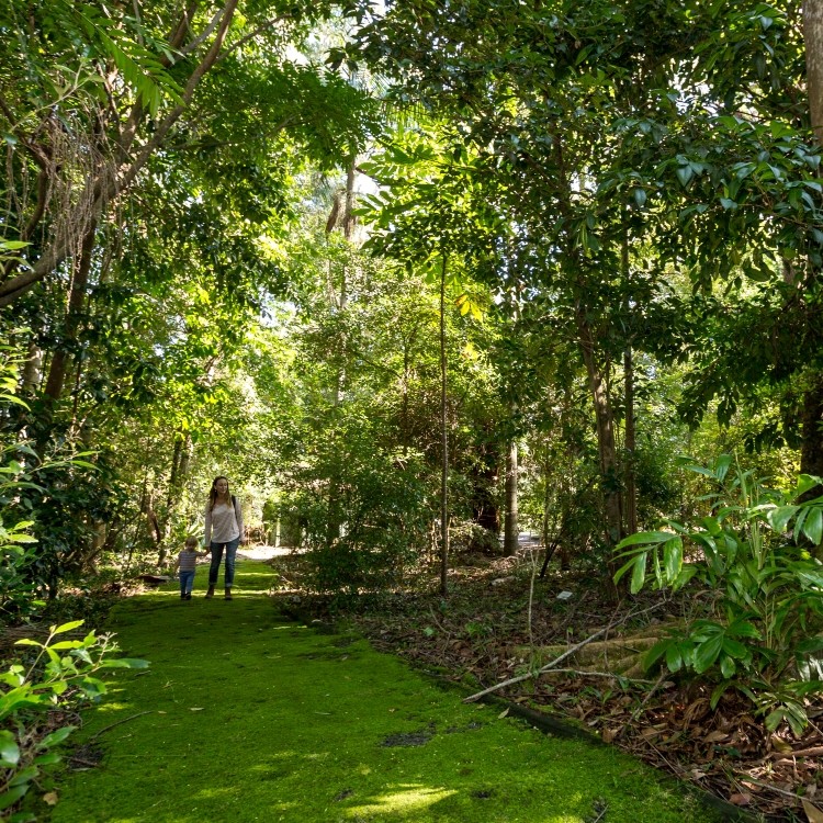 Booderee Botanic Gardens rainforest boardwalk and pathway upgrades ...