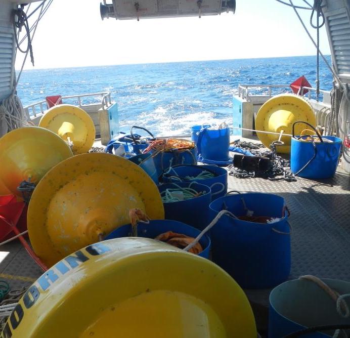 Magnetic attraction at Rottnest Trench | Parks Australia | Parks Australia